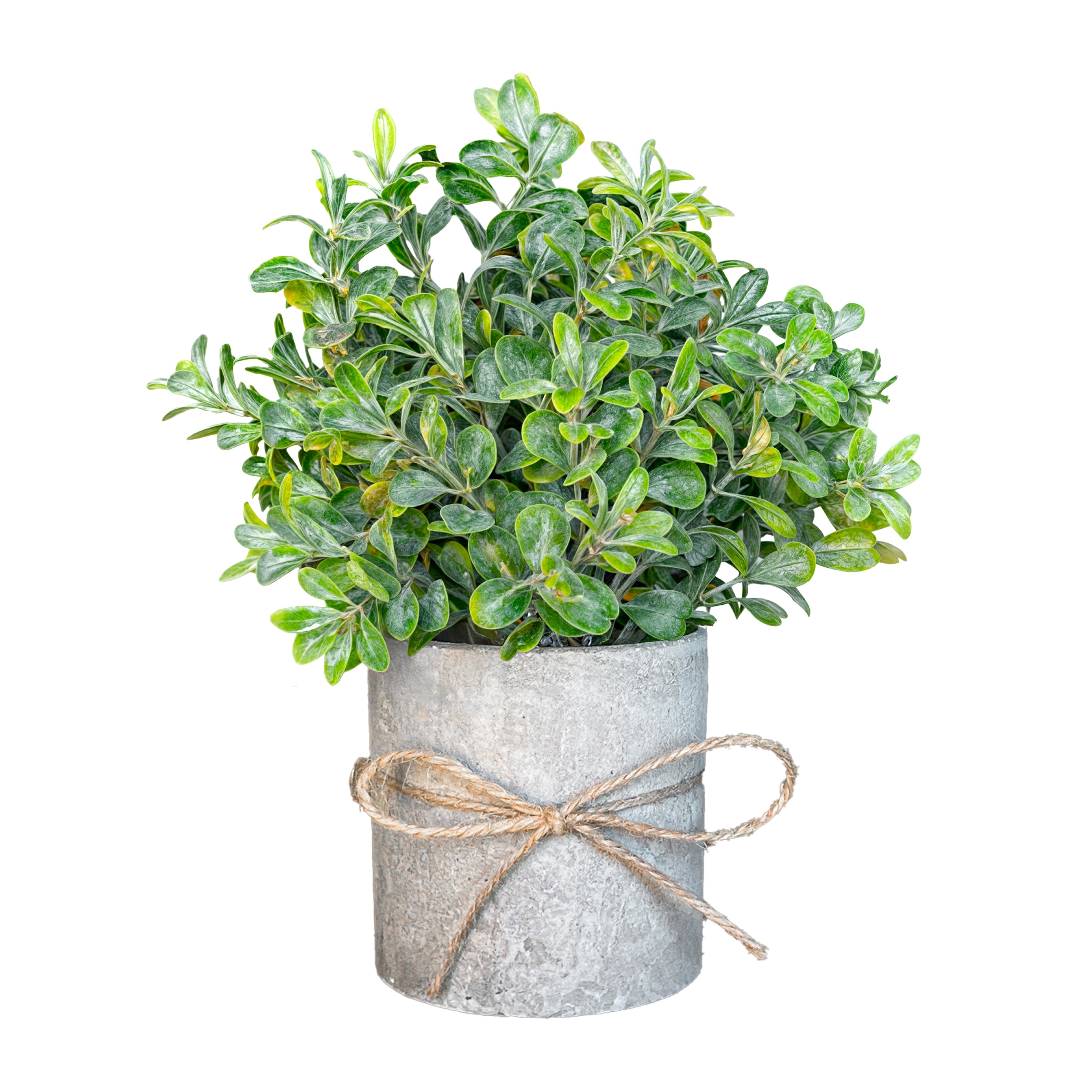 Potted Eucalyptus Artificial Plant – Baobab Workshop